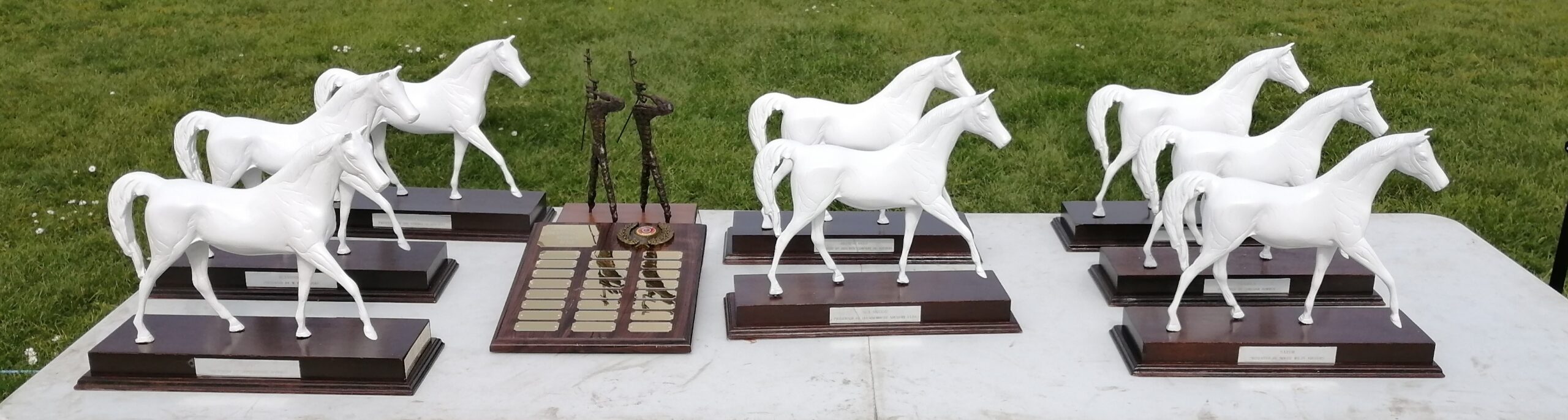 Tournament results | DWAA